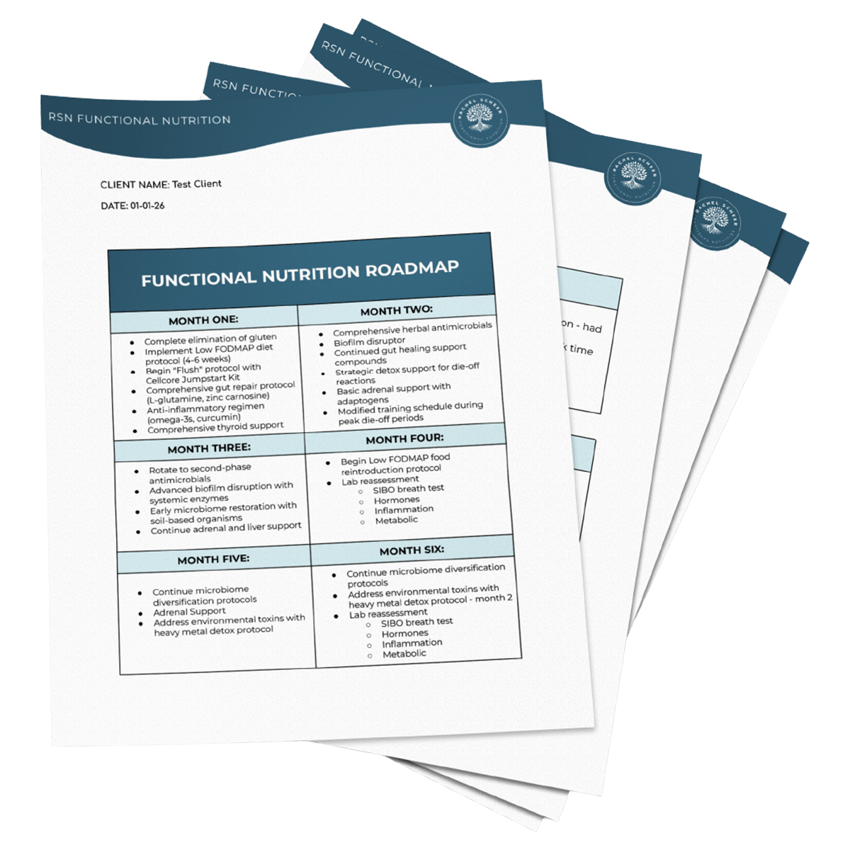 Functional Wellness Coaching | Rachel Scheer Nutrition